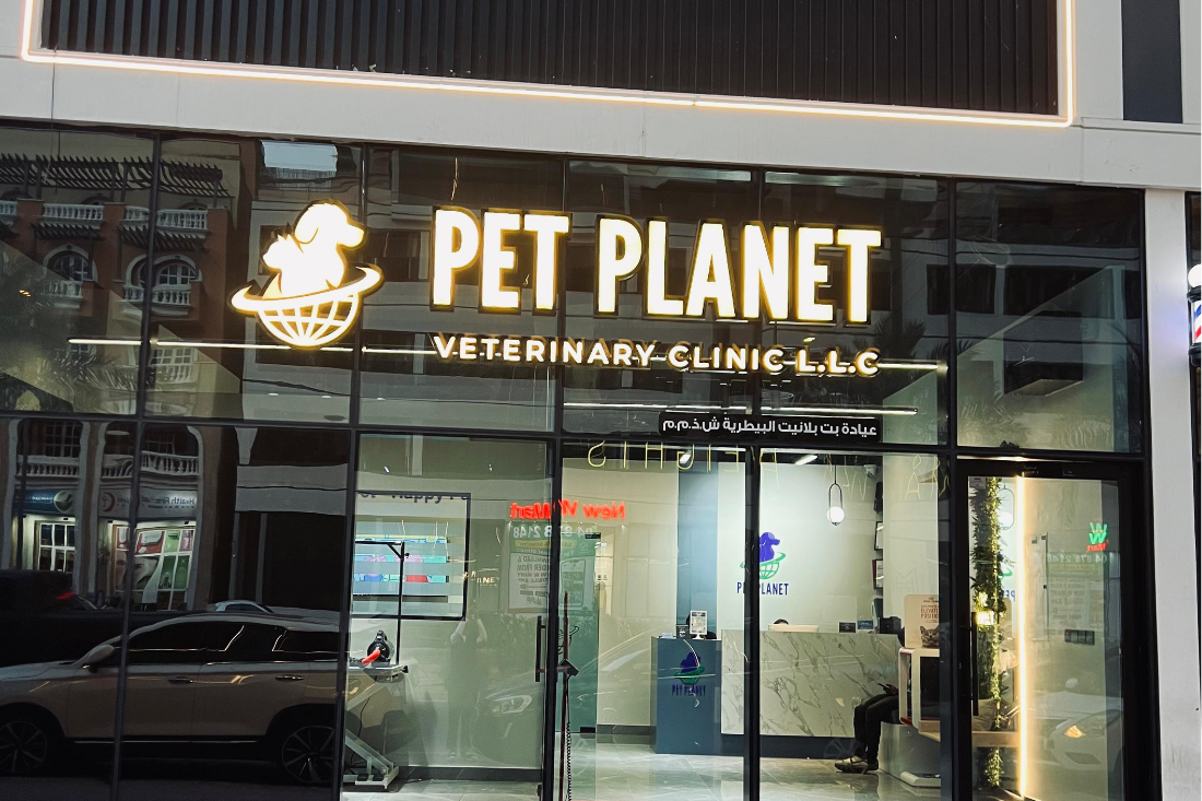 Pet Planet Veterinary Clinic JVC Dubai | Trusted Pet Care & Vet Services